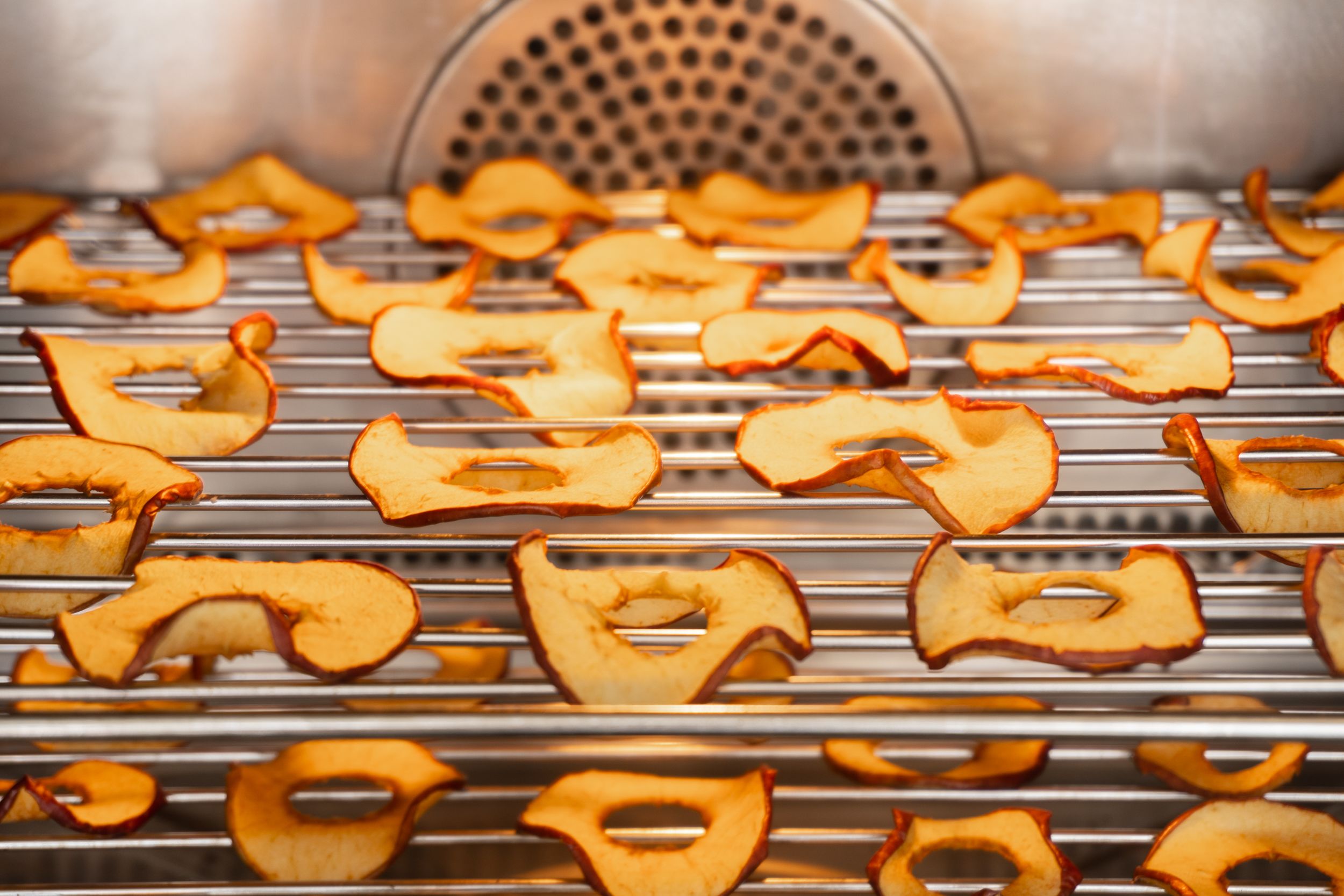 Dehydrated Apple Chips | Combi Steam Oven Recipes