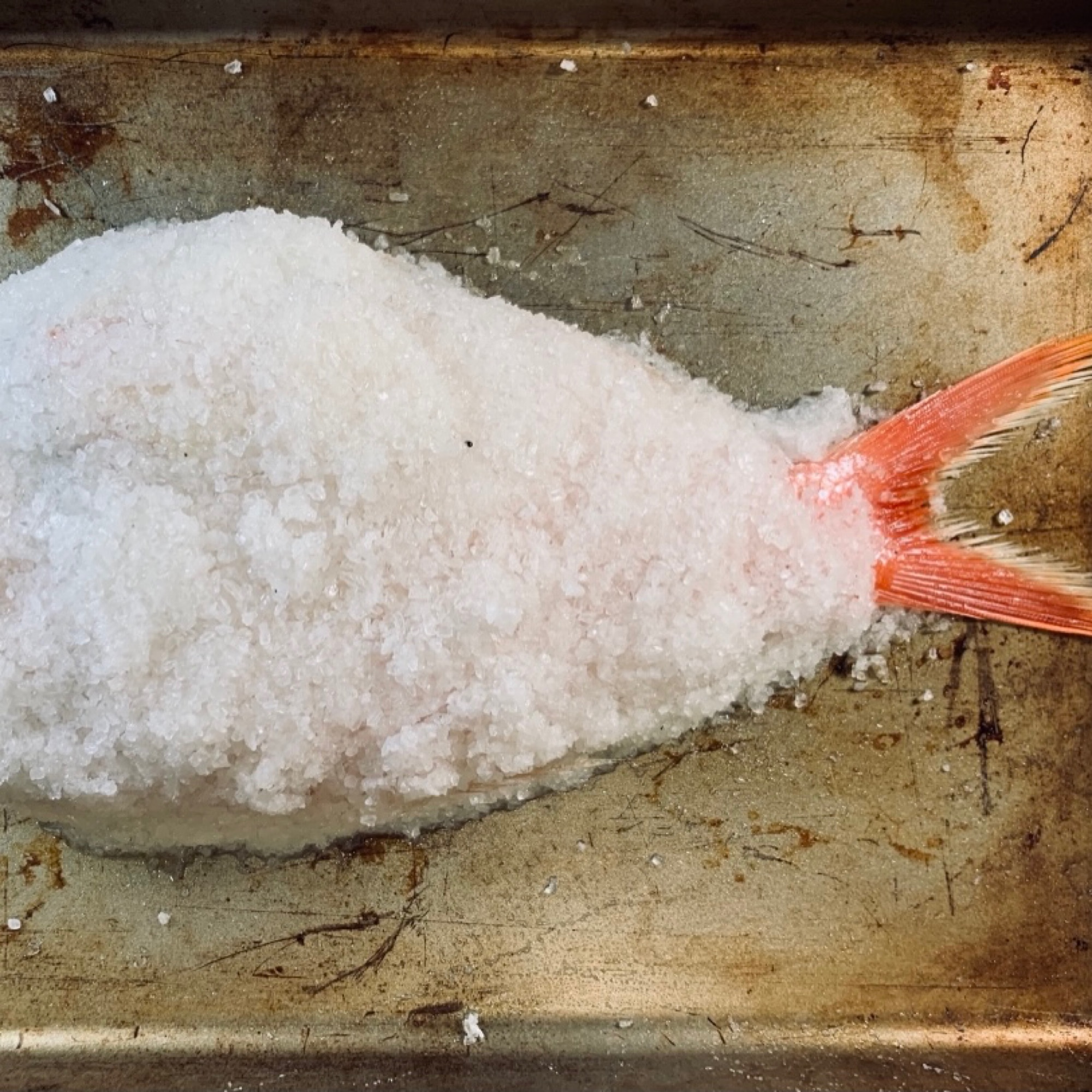 Salt-Crusted Whole Fish | Combi Steam Oven Recipes