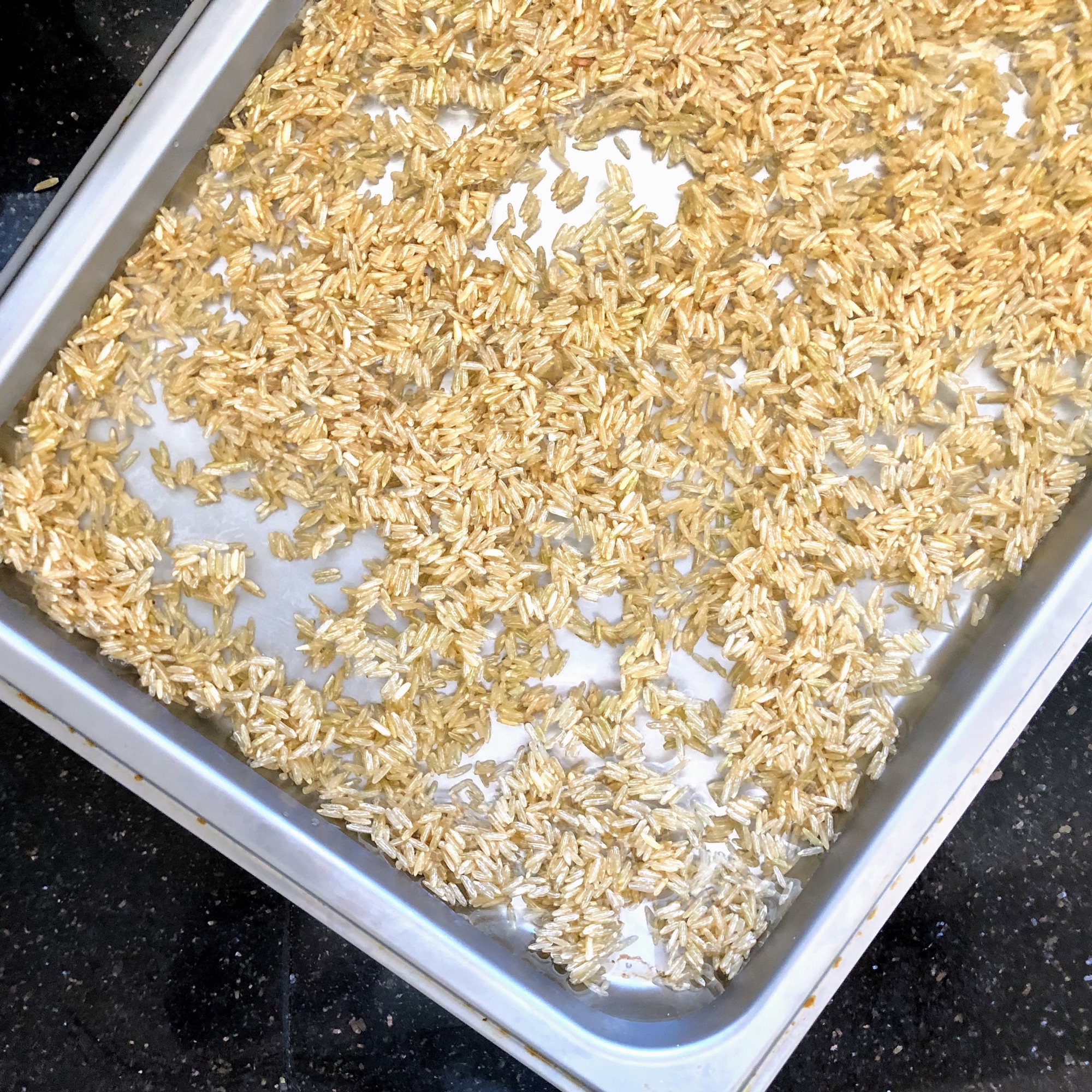 Perfect Long-Grain Brown Rice | Combi Steam Oven Recipes