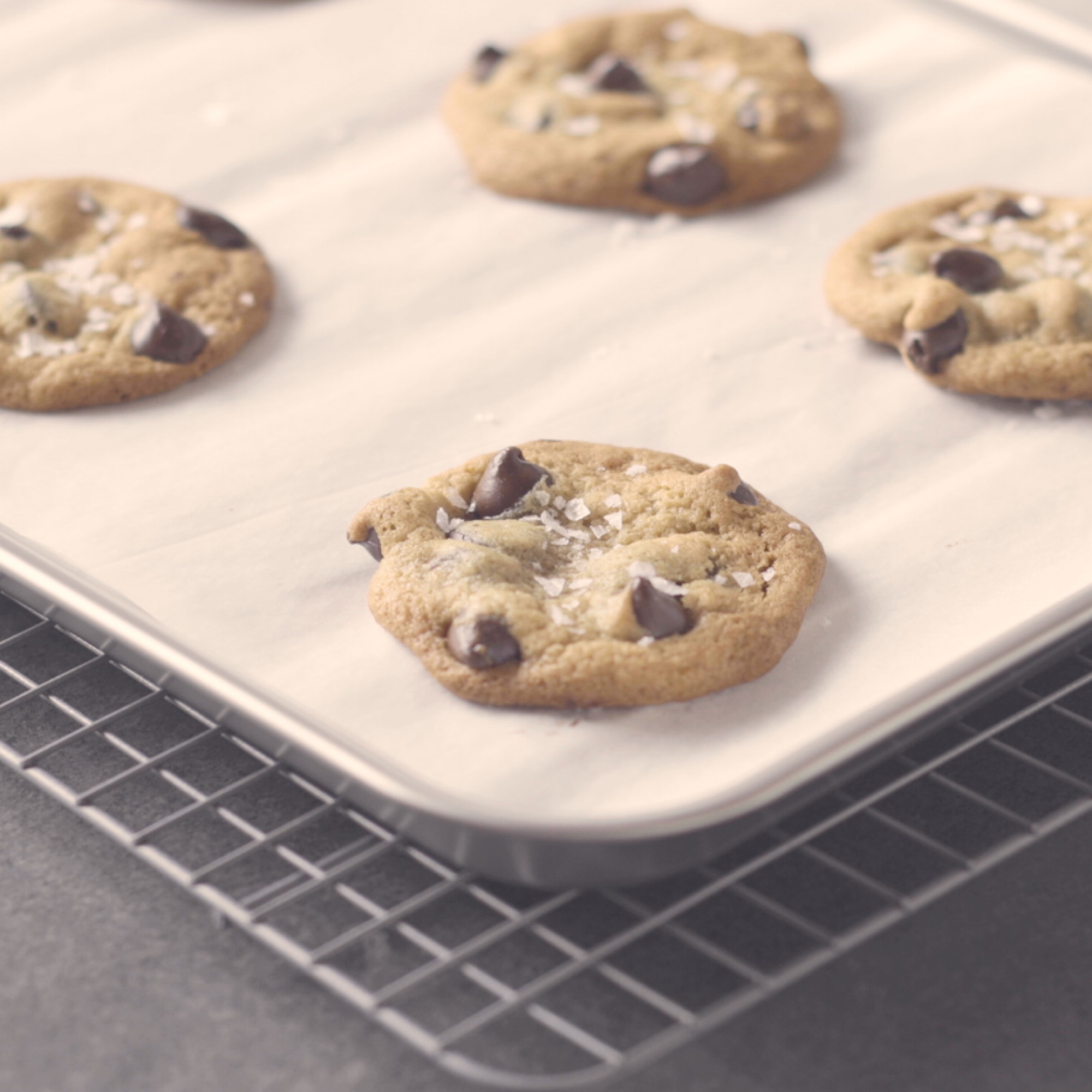 Steam-Baked Classic Chocolate Chip Cookies | Combi Steam Oven Recipes