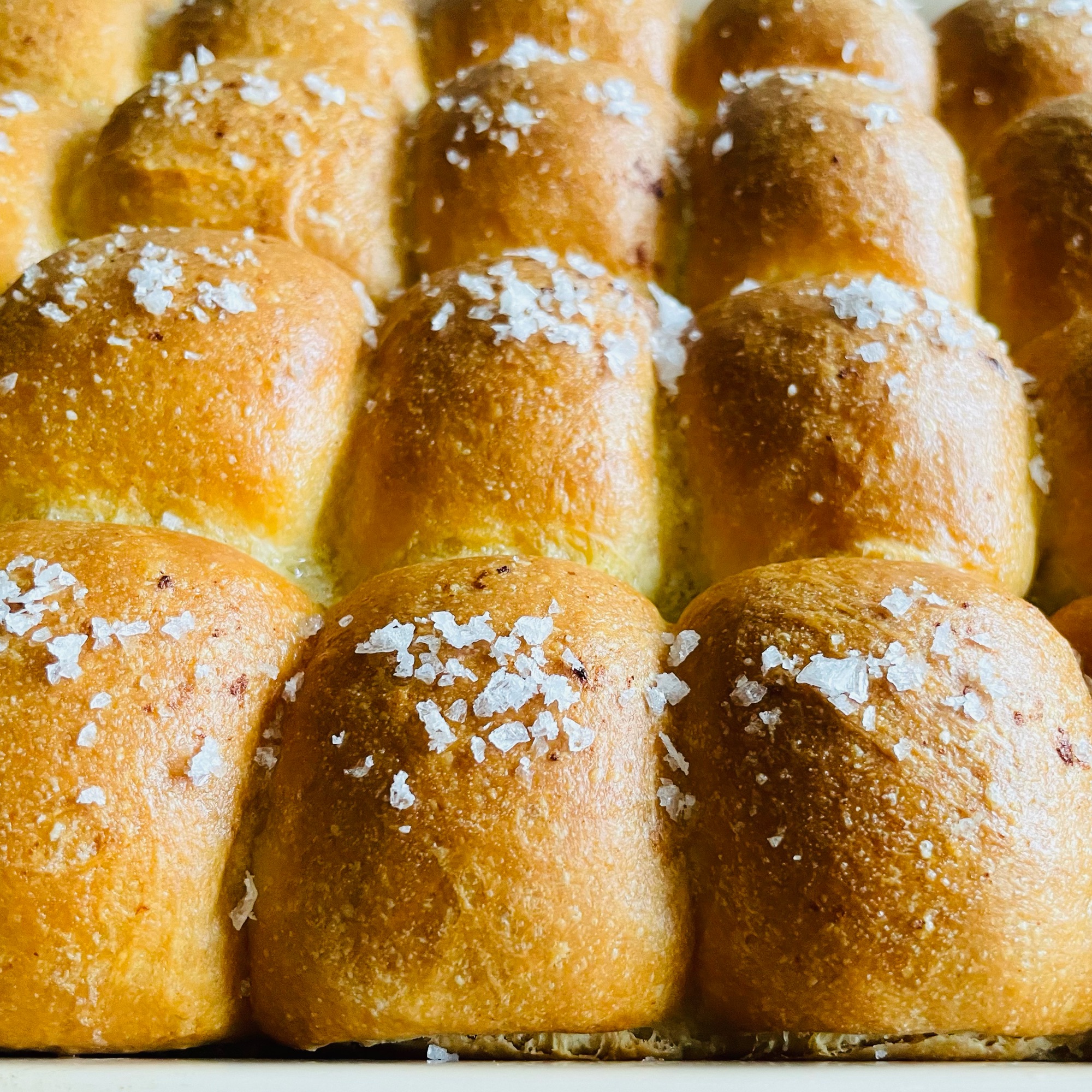 Steam-Baked Parker House Rolls 2.0 | Combi Steam Oven Recipes
