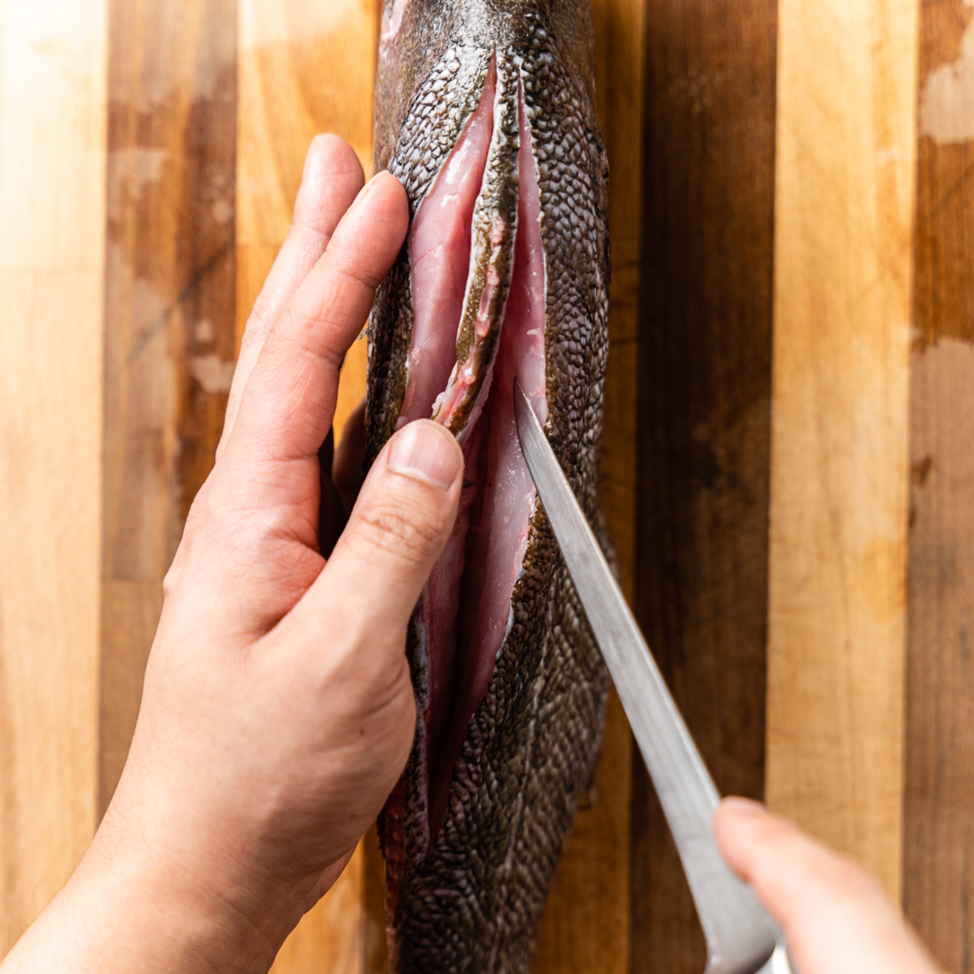 Chinese Steamed Whole Fish | Combi Steam Oven Recipes