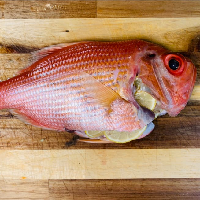 Salt Crusted Whole Fish | Anova Precision™ Oven Recipes