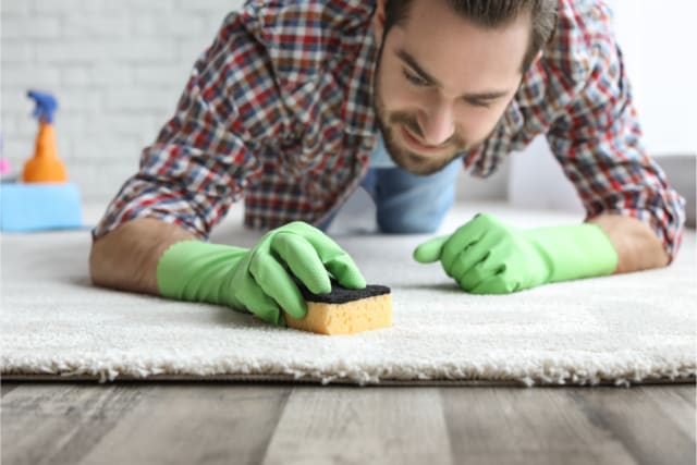 How to Deep Clean Carpet: A Step-by-Step Guide