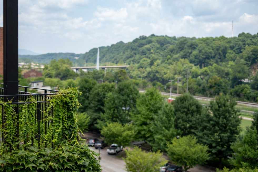 12 Largest Cities in Virginia [2024]
