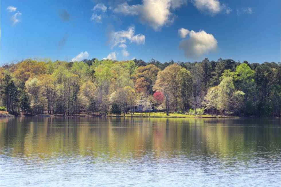 Atlanta Suburbs 2024: Your Complete Guide