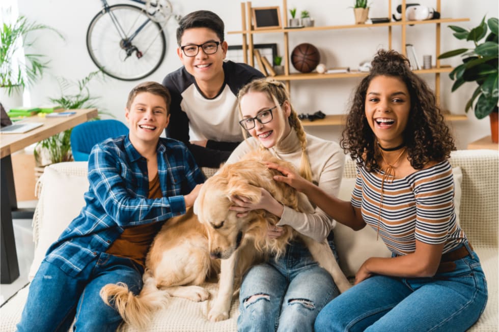 10+ Essential Items to Include in a Roommate Agreement
