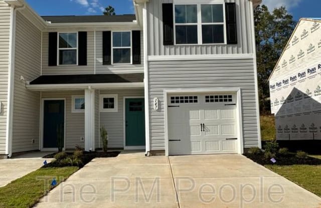 147 Sarnesfield Way - Greenville County, SC apartments for rent