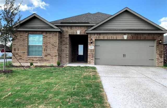144 Emma Drive - Anna, TX apartments for rent