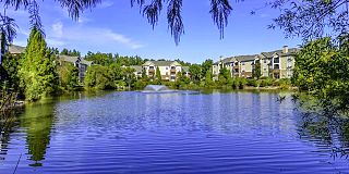 100 Best Apartments In Raleigh, NC (with pictures)!