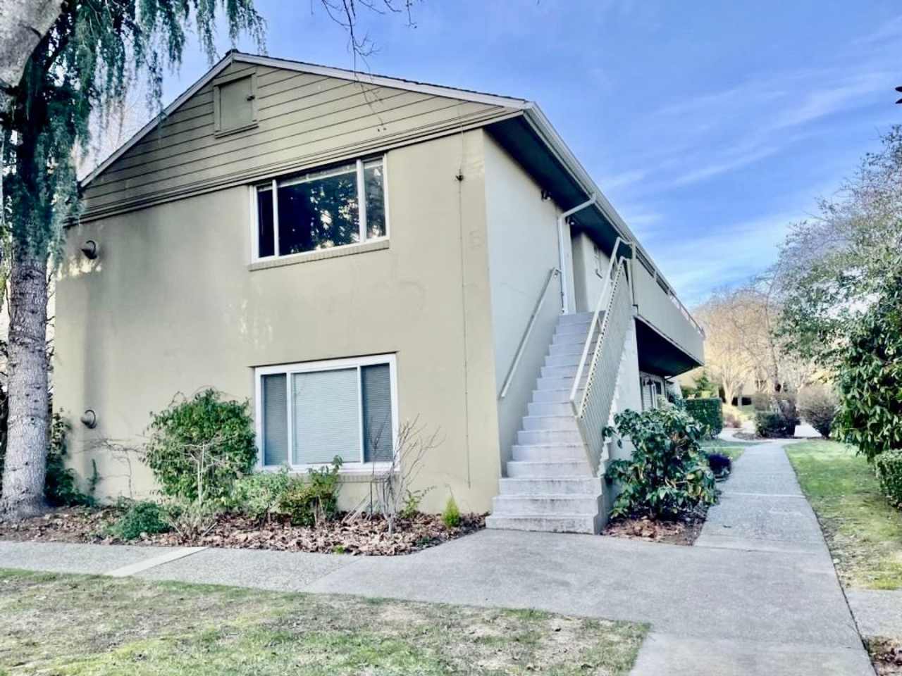 One Bedroom Condo Near University of Washington!!!! - Sunny