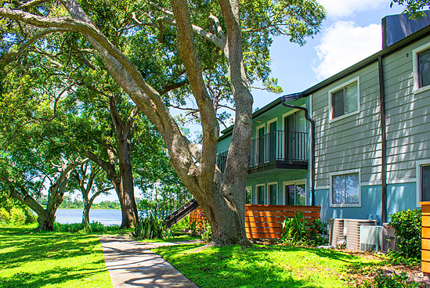 Pest Control Winter Haven Fl | Pest Control