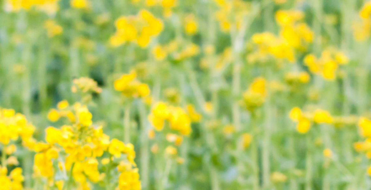 Na-no-Hana. | freee予約