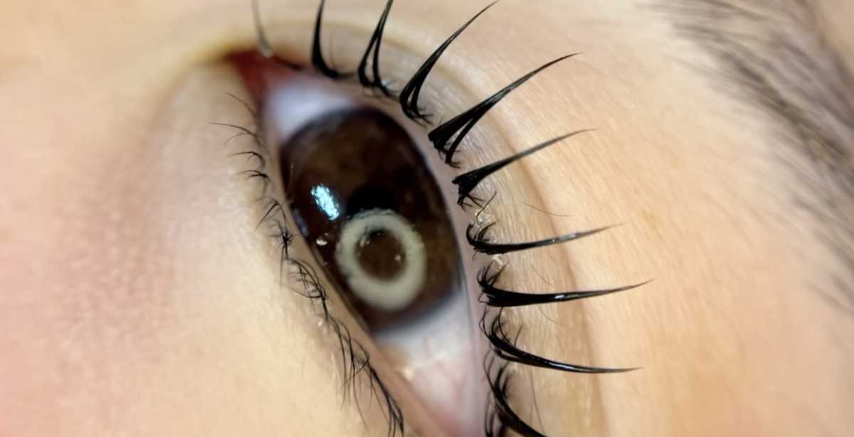 *マスカラパーマ 新規/¥4000 リピーター/¥4600 | freee予約