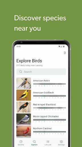 Merlin Bird ID by Cornell Lab Android App