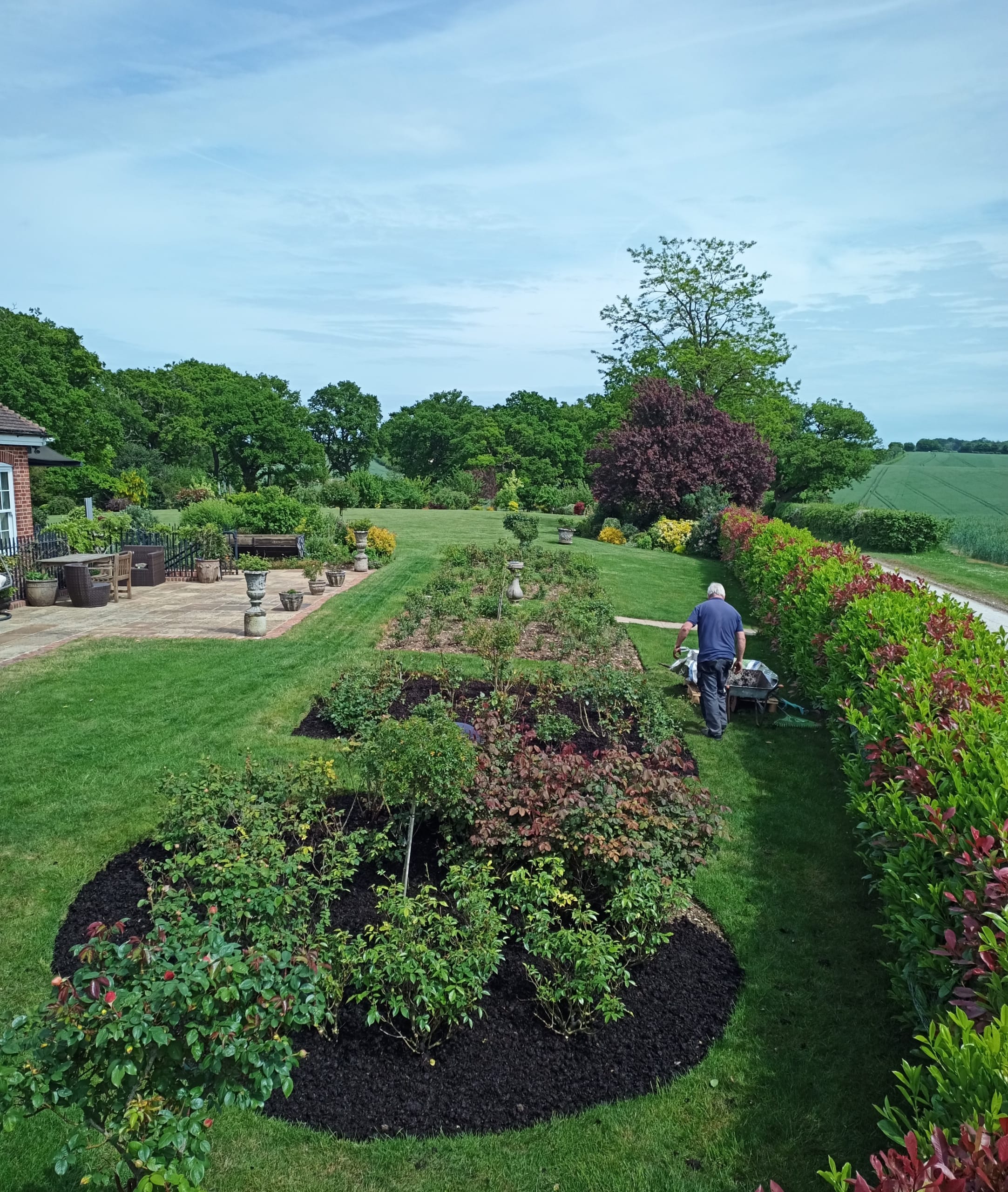 Summer Spectacular - Top Dressing & 5L Natural plant food - Apsley ...