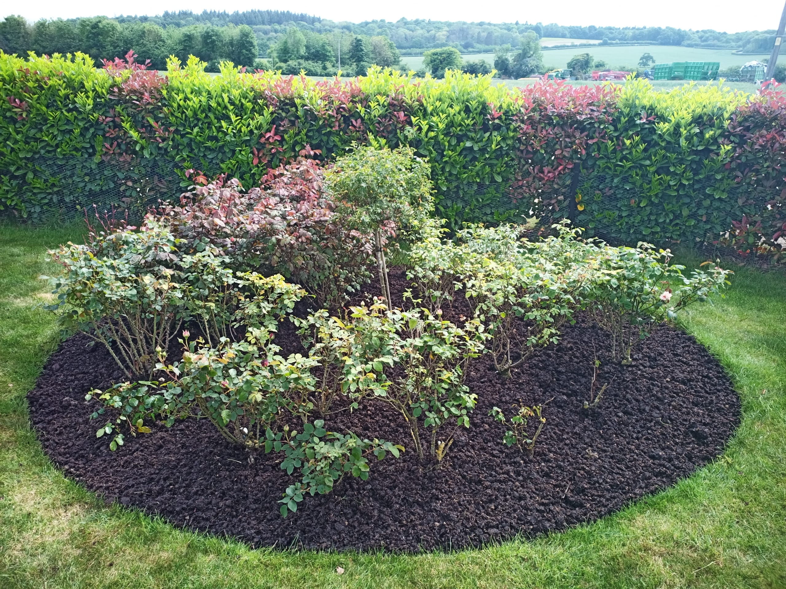 Summer Top Dressing - Apsley farms mulch