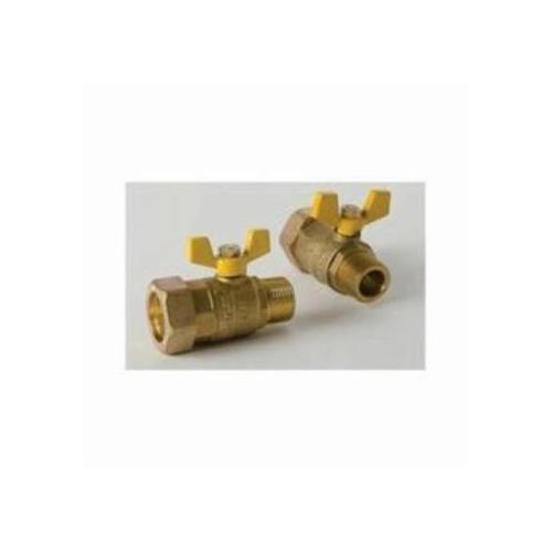 Aquifer Distribution | Ward Mfg 20MXE.WFV Valve Assembly, 3/4 in ...