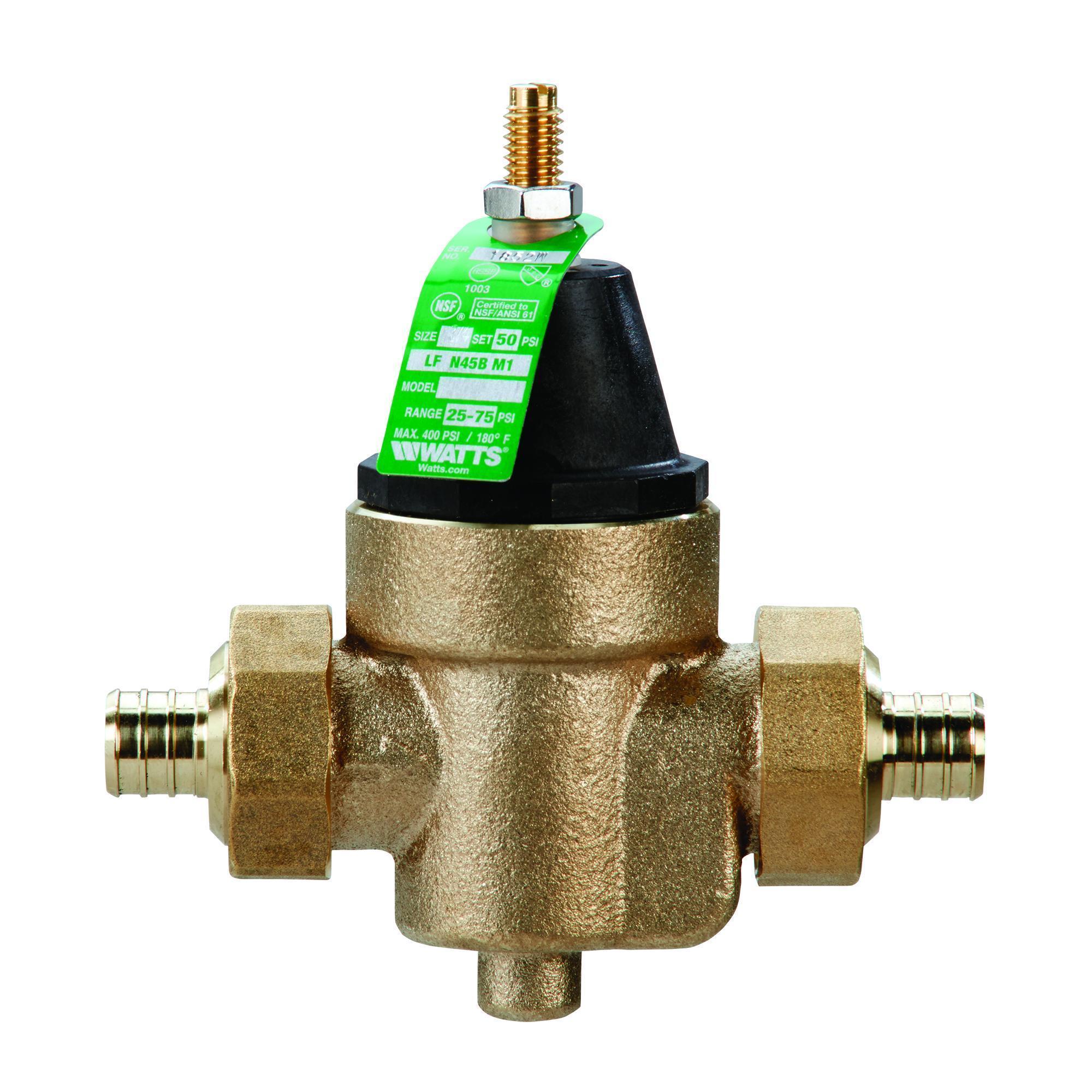 Aquifer Distribution | WATTS 0009485 LFN45B Standard Capacity Pressure ...