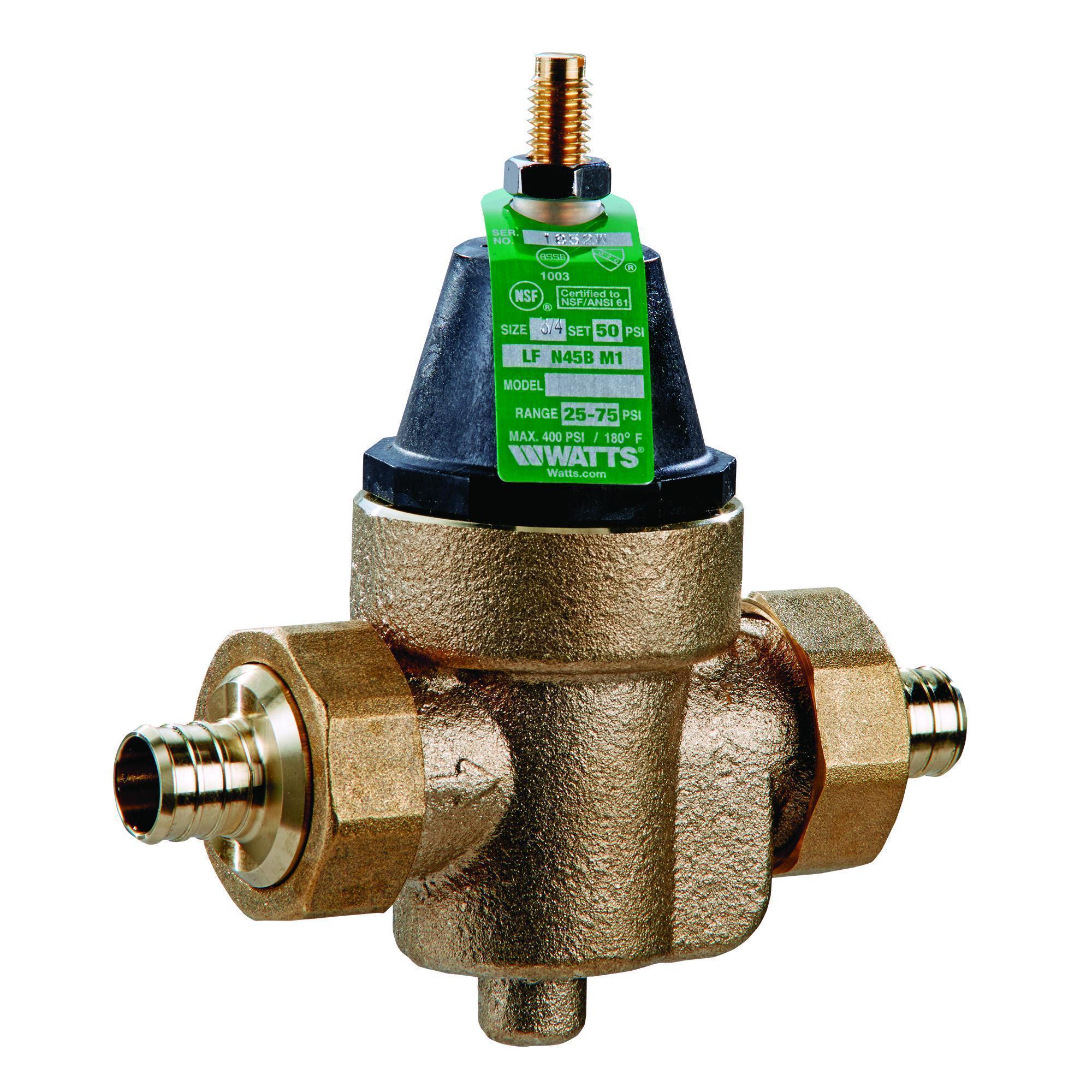 Aquifer Distribution | WATTS 0009485 LFN45B Standard Capacity Pressure ...