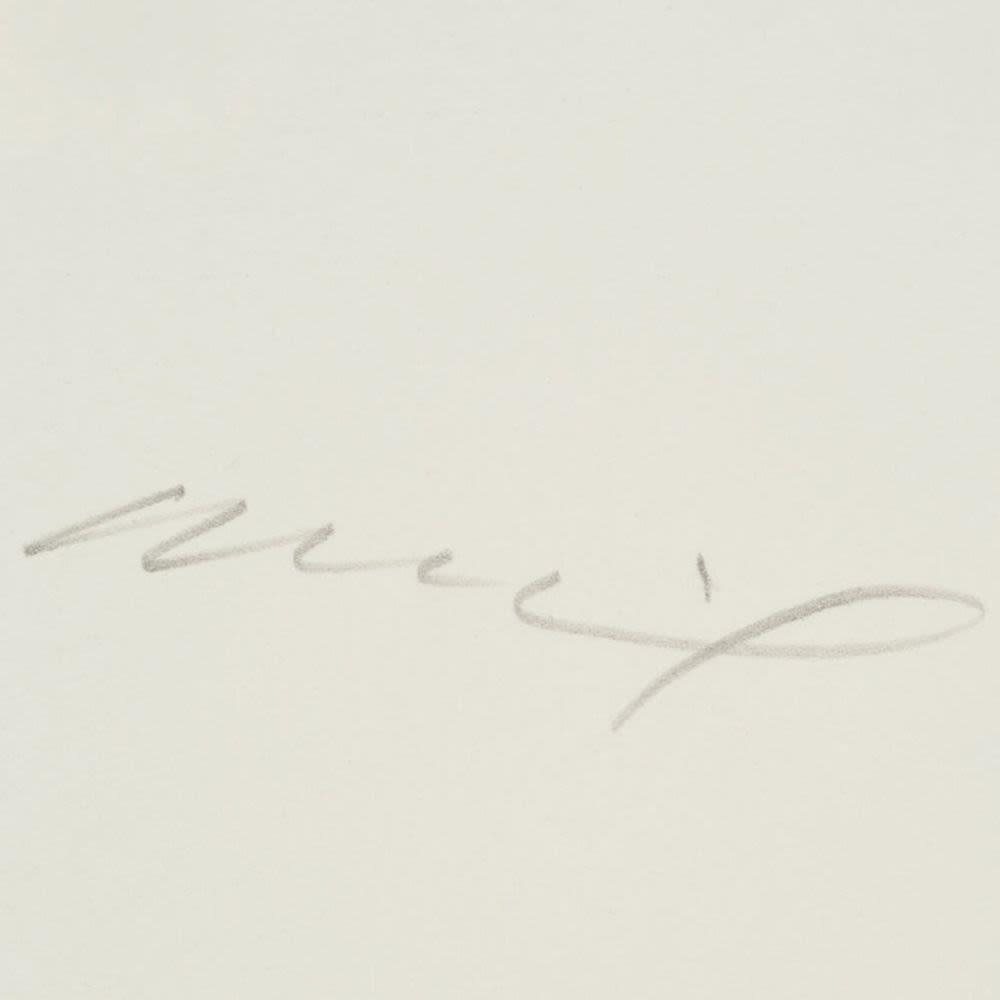 Peter Doig Editions | Weng Contemporary