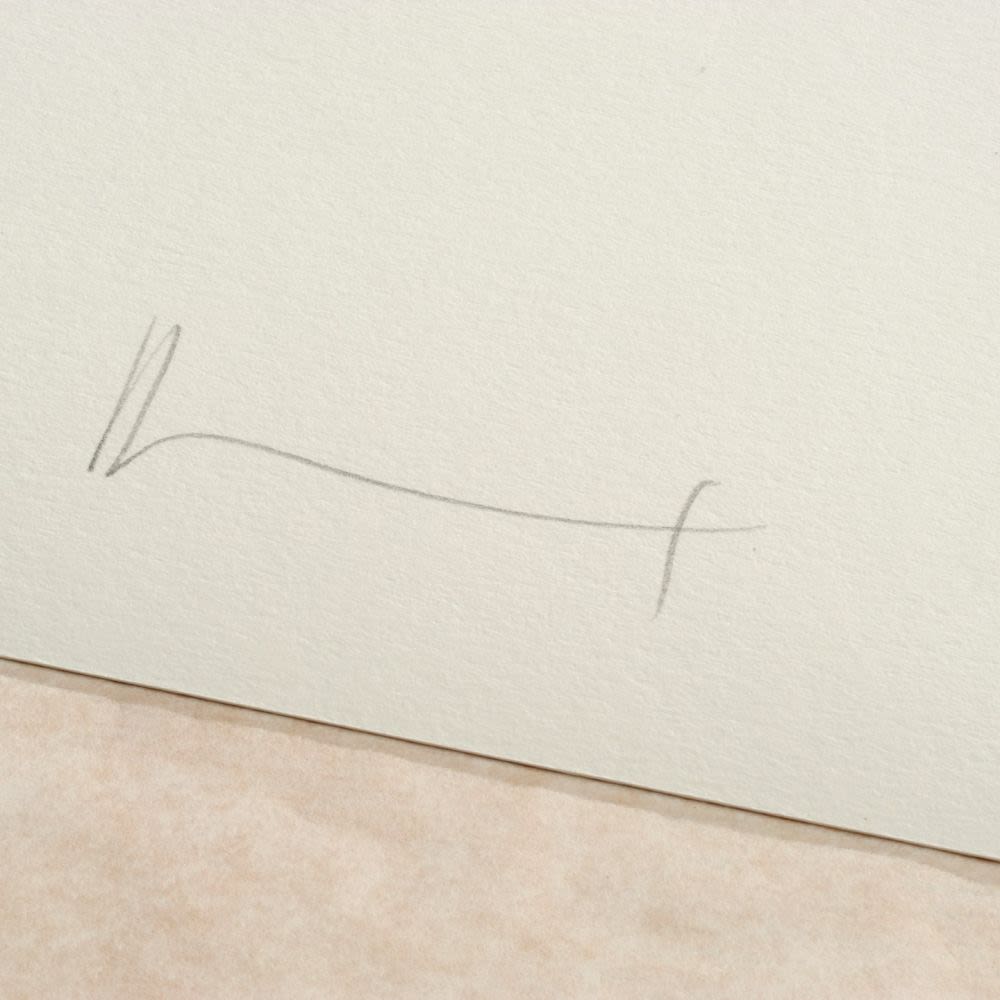 Walid Raad Editions | Weng Contemporary