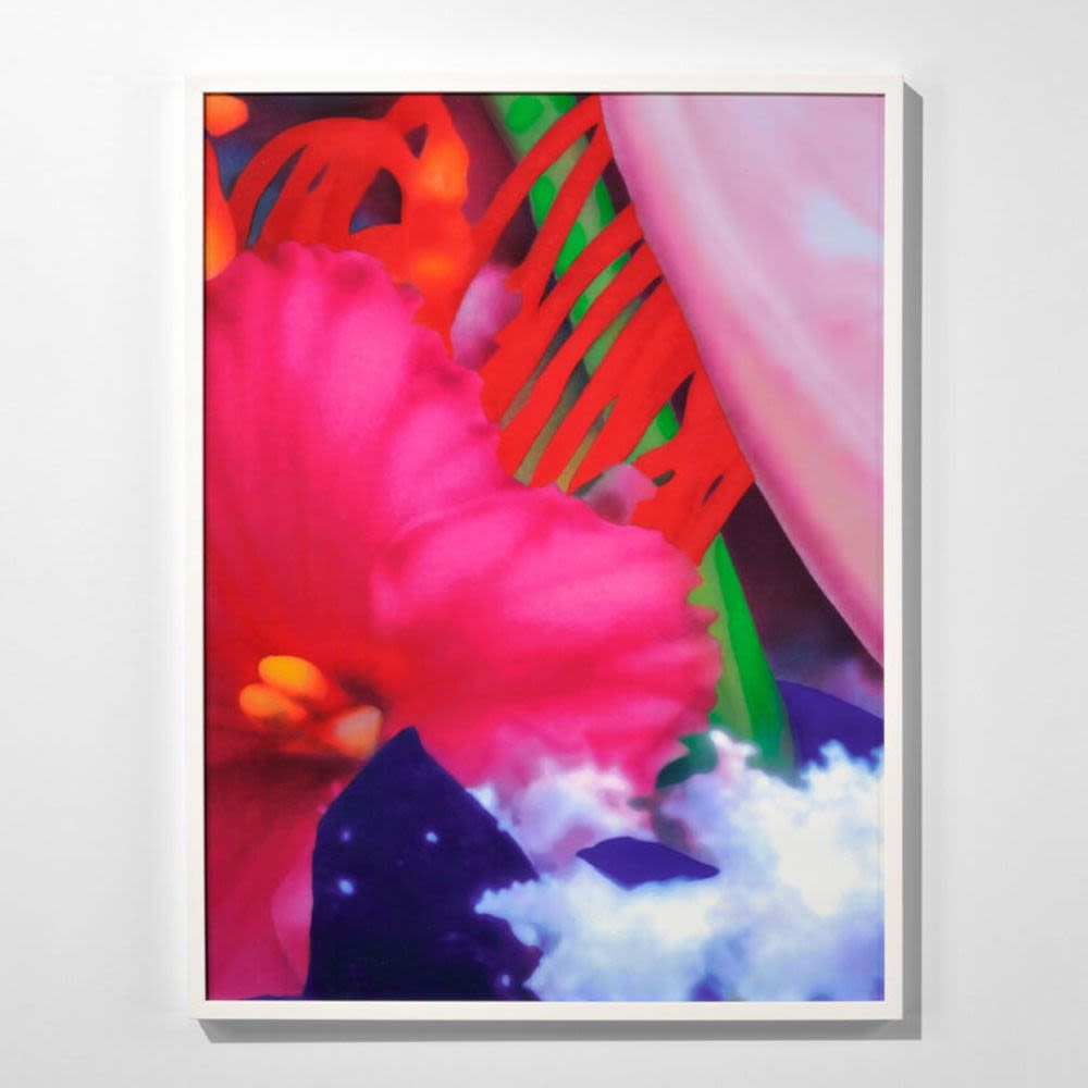 Marc Quinn Editions | Weng Contemporary