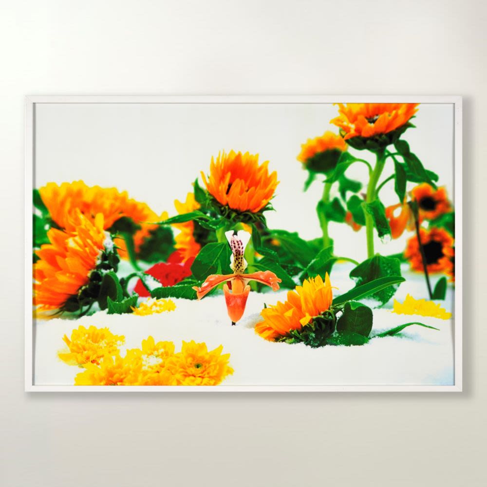 Marc Quinn Editions | Weng Contemporary