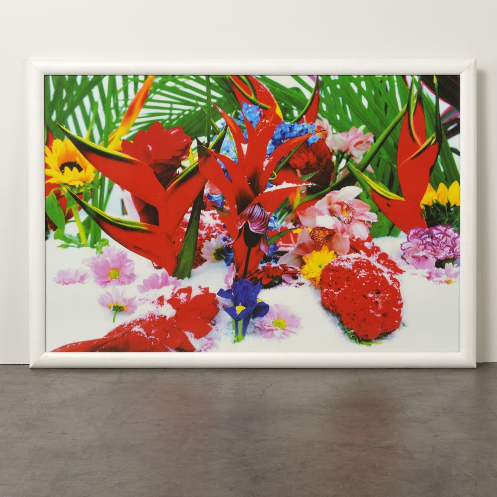 Marc Quinn Editions | Weng Contemporary