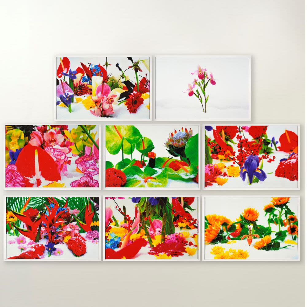 Marc Quinn Editions | Weng Contemporary