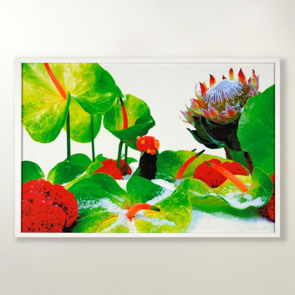 Marc Quinn Editions | Weng Contemporary