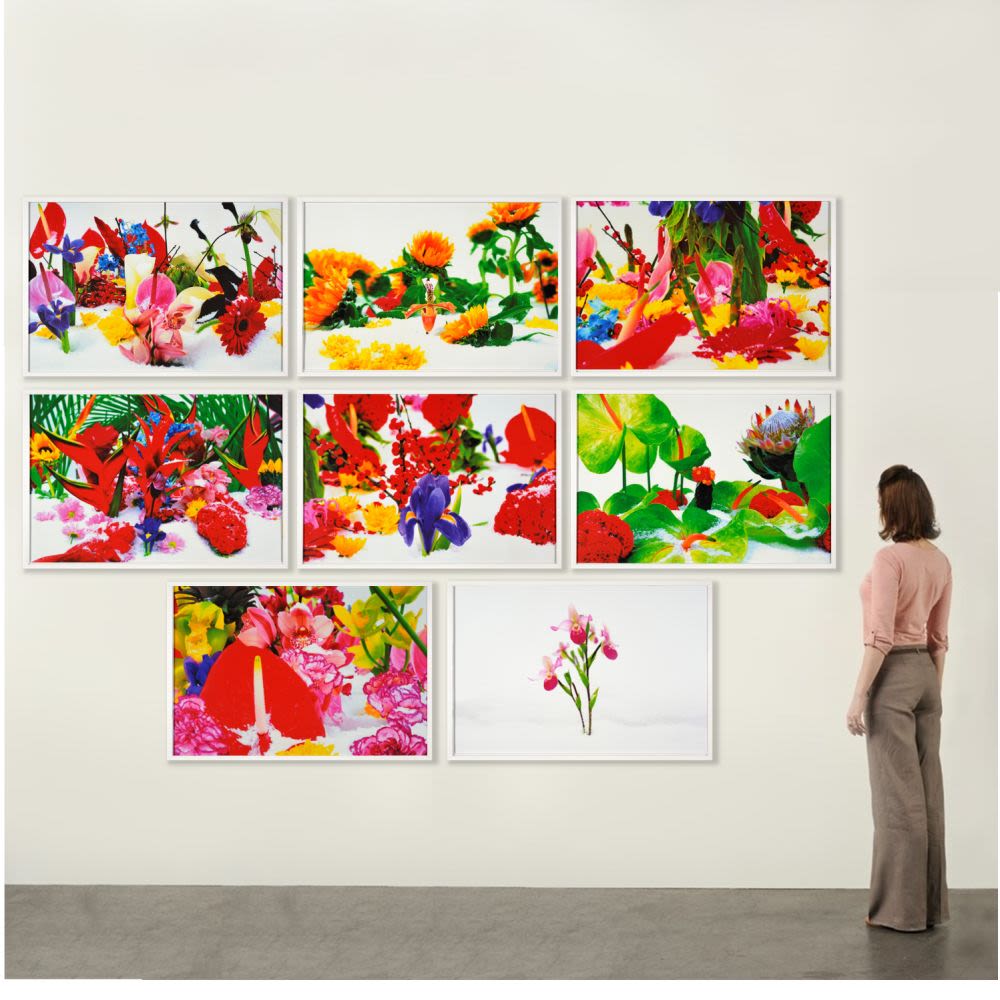 Marc Quinn Editions | Weng Contemporary