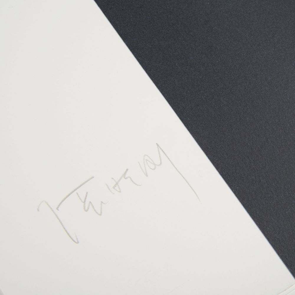 Zhang Xiaogang Editions | Weng Contemporary