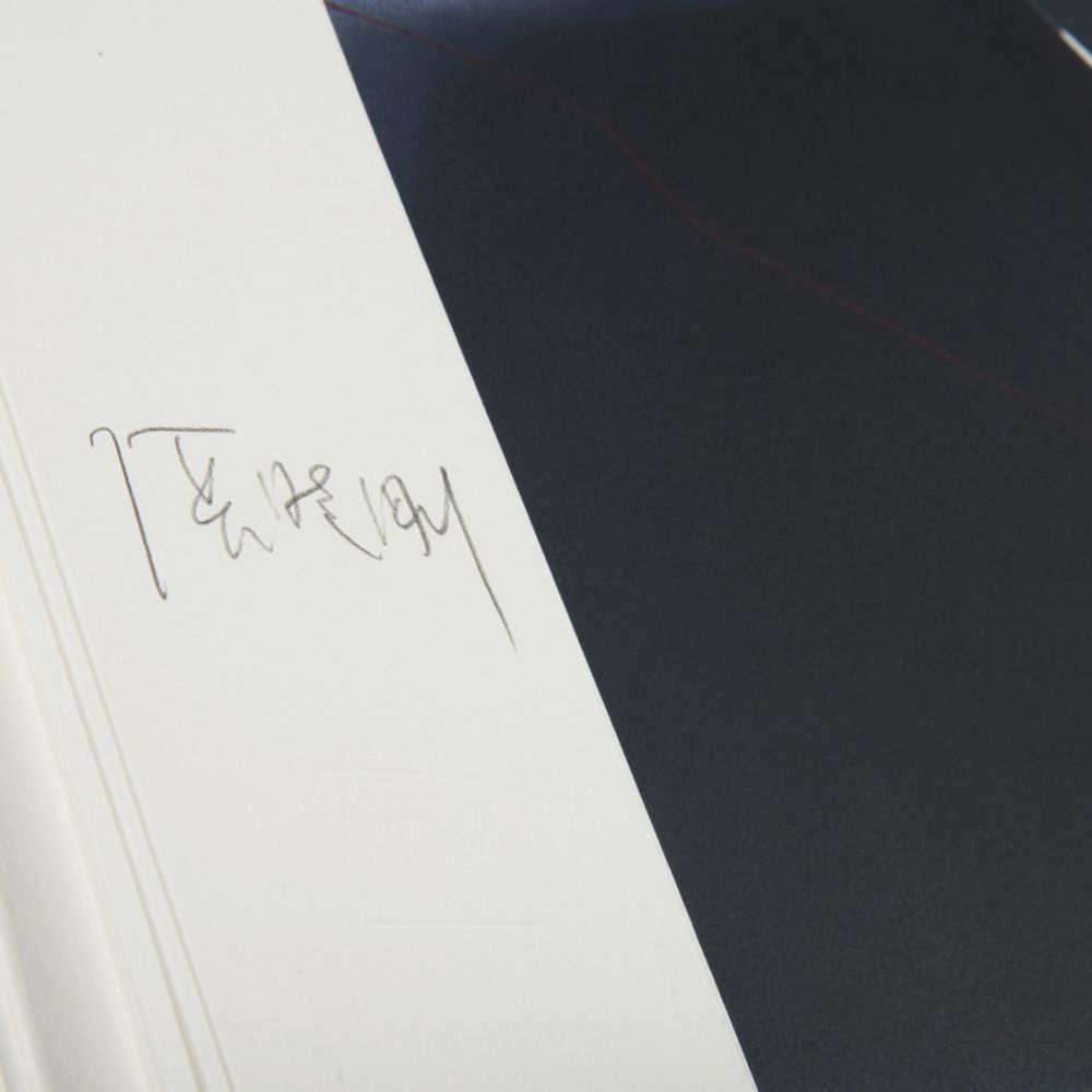 Zhang Xiaogang Editions | Weng Contemporary