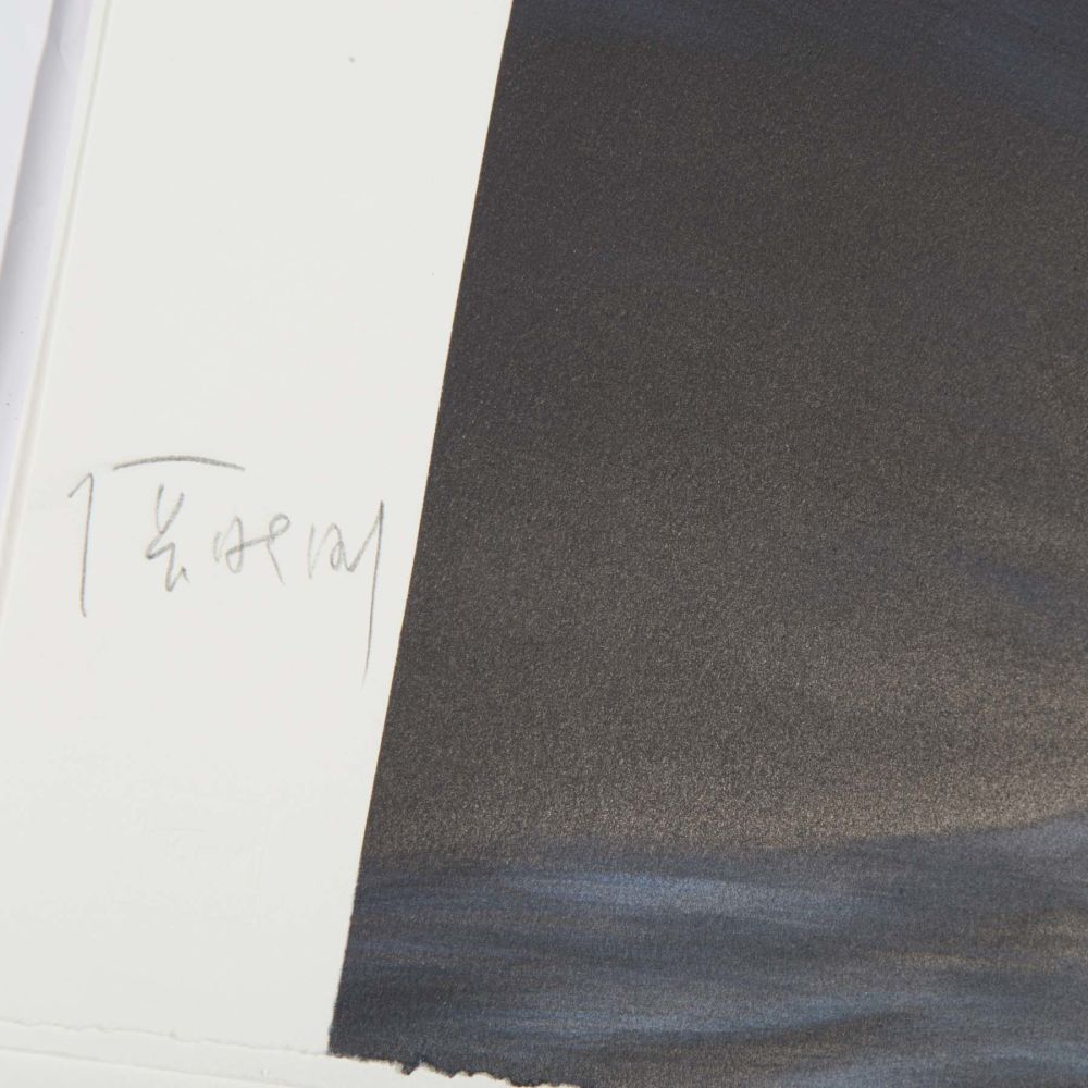 Zhang Xiaogang Editions | Weng Contemporary