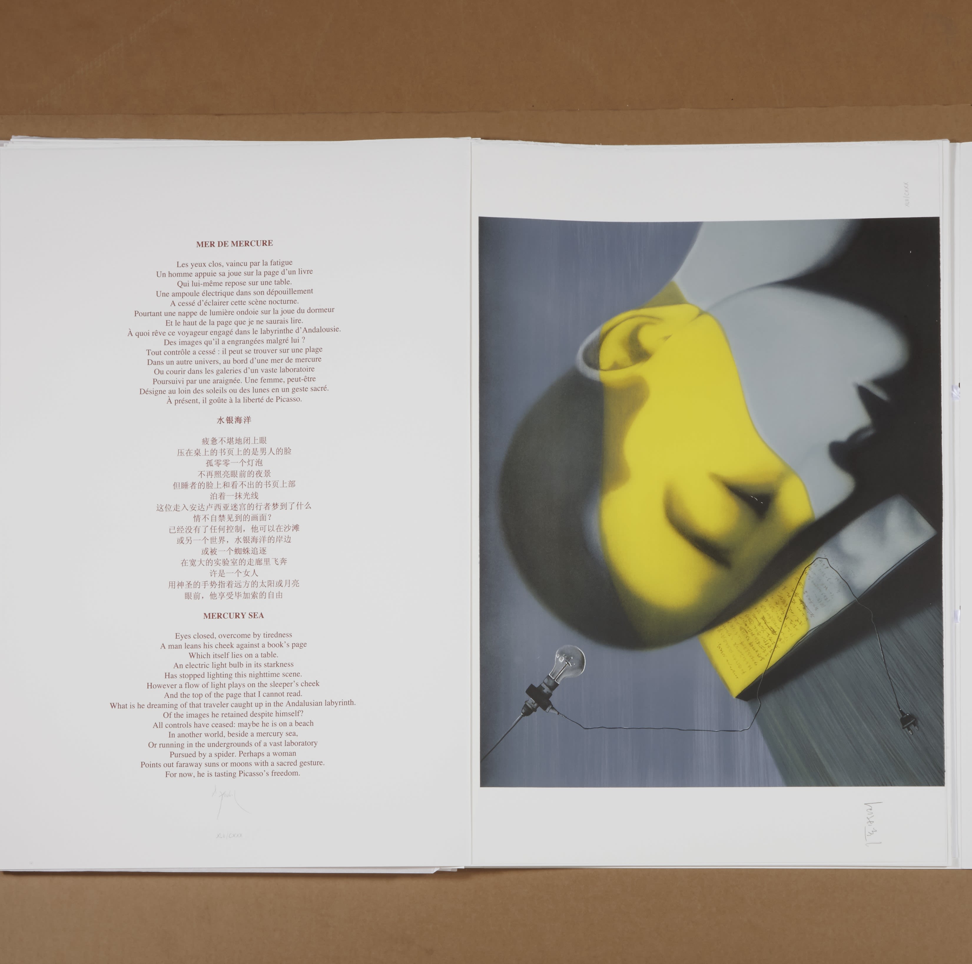 Zhang Xiaogang Editions | Weng Contemporary