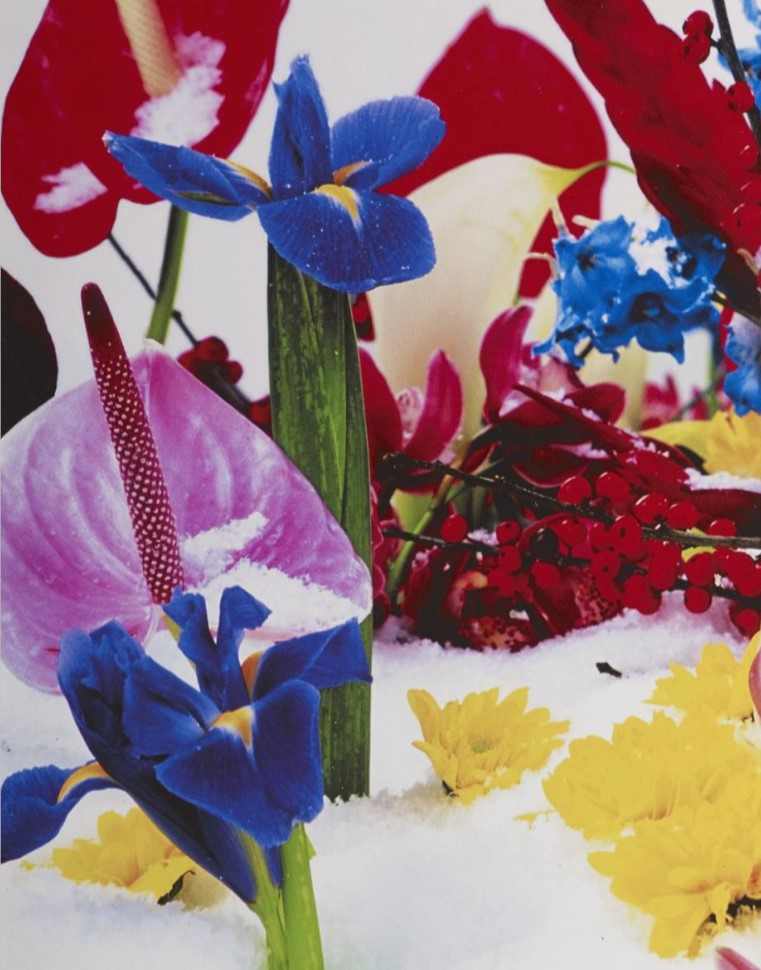Marc Quinn's Floral Portfolios | Weng Contemporary