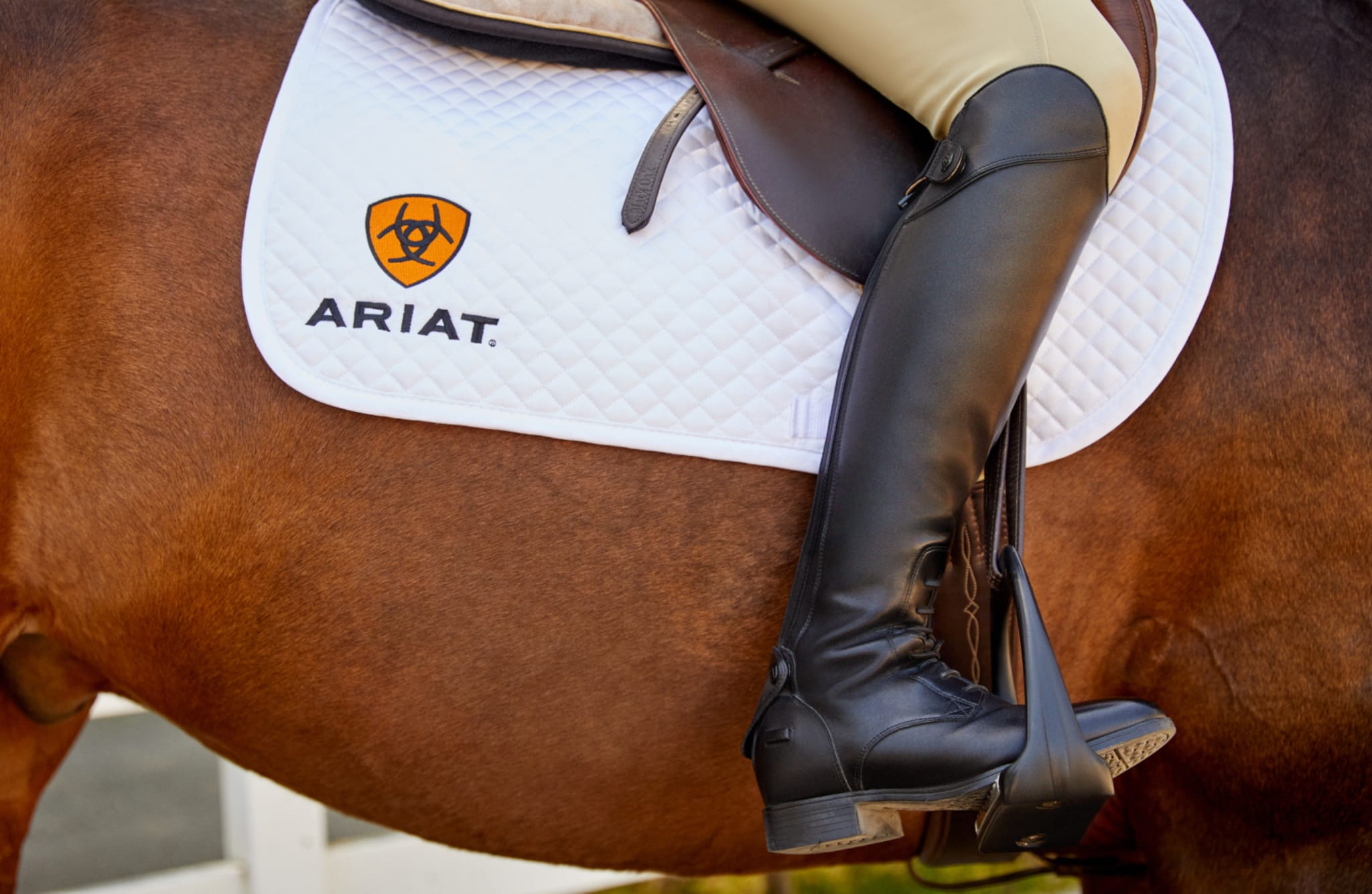 Ariat | Reboot | Buy Second-hand