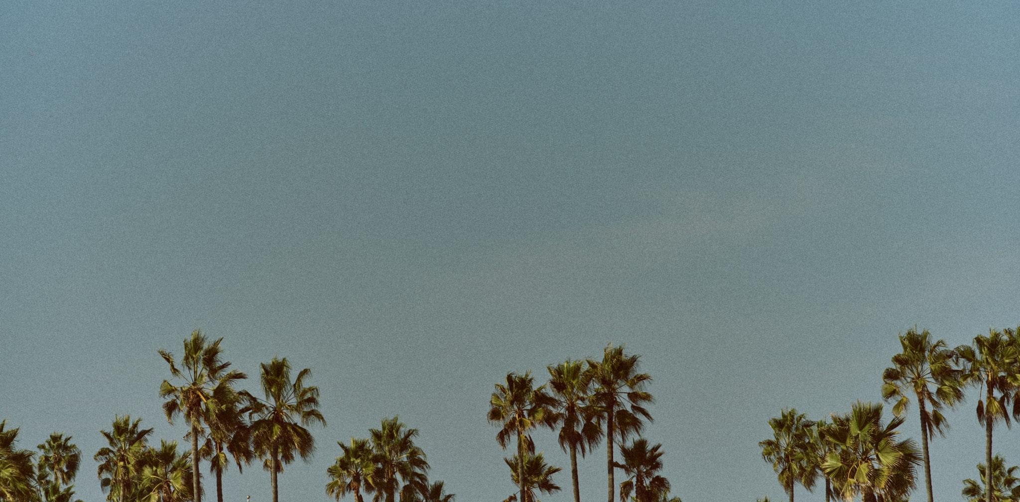 Second Wave | Shop Sustainably | Buy Second-hand