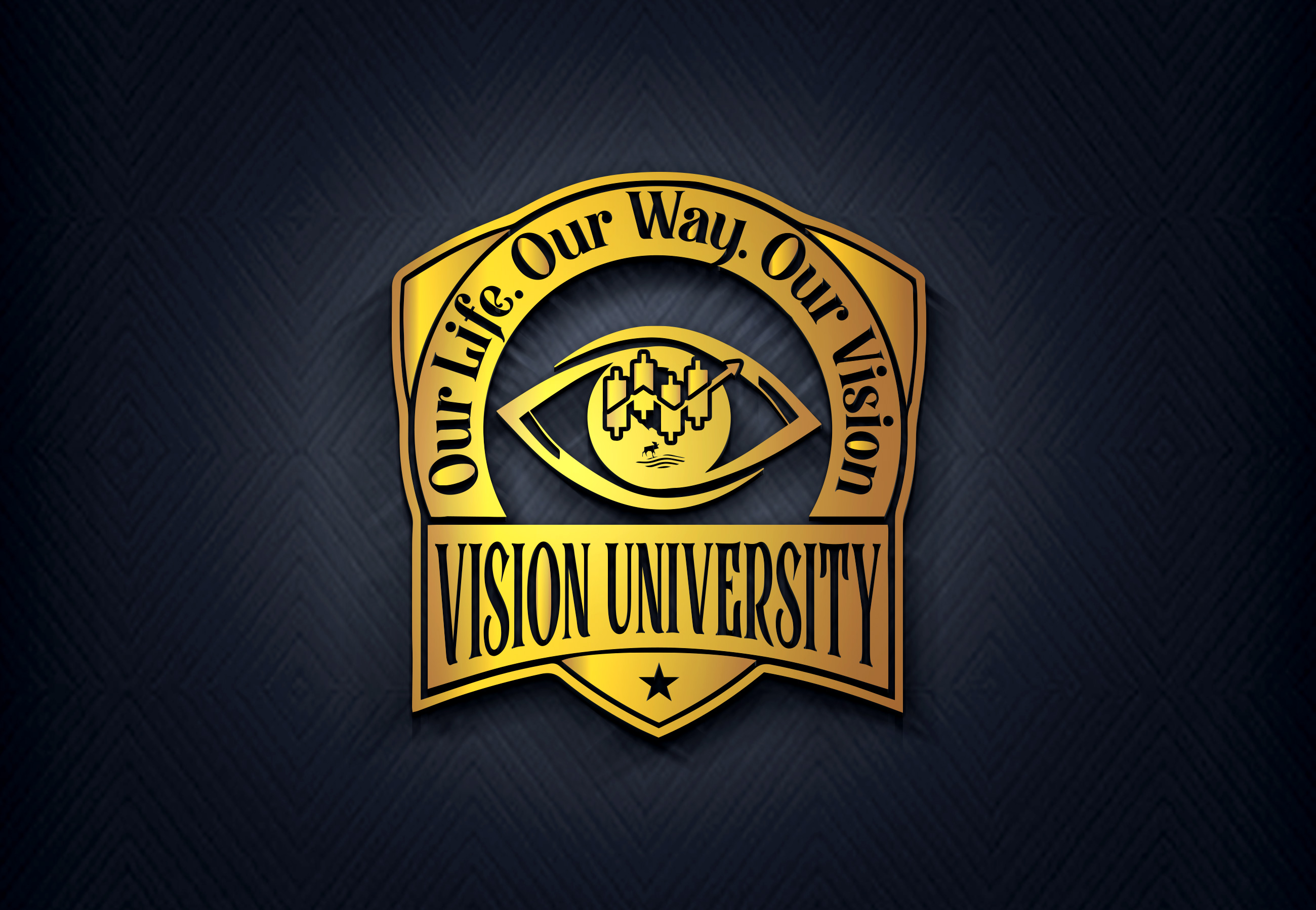 vision-university-llc #allaccess v2