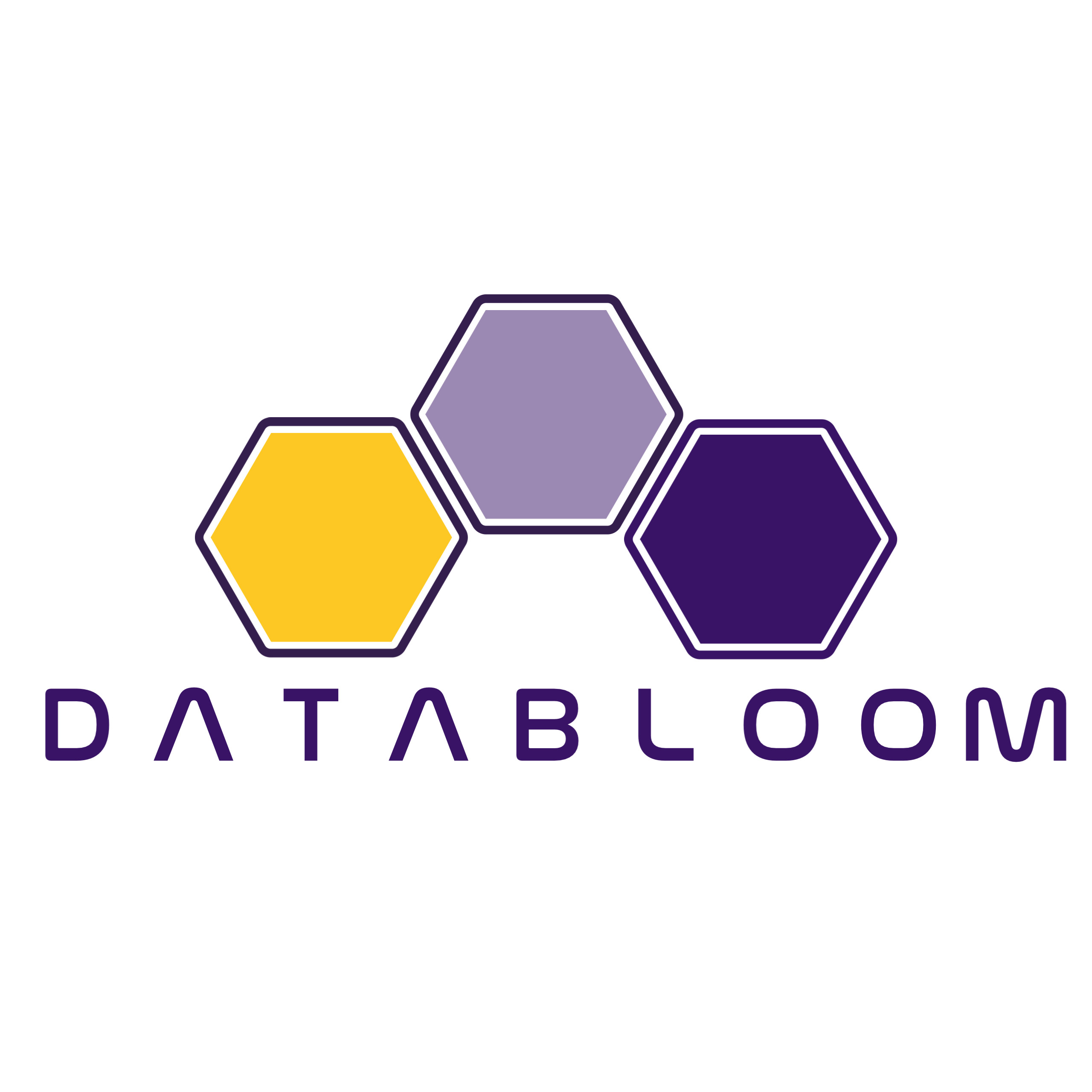 community.databloom.ai
