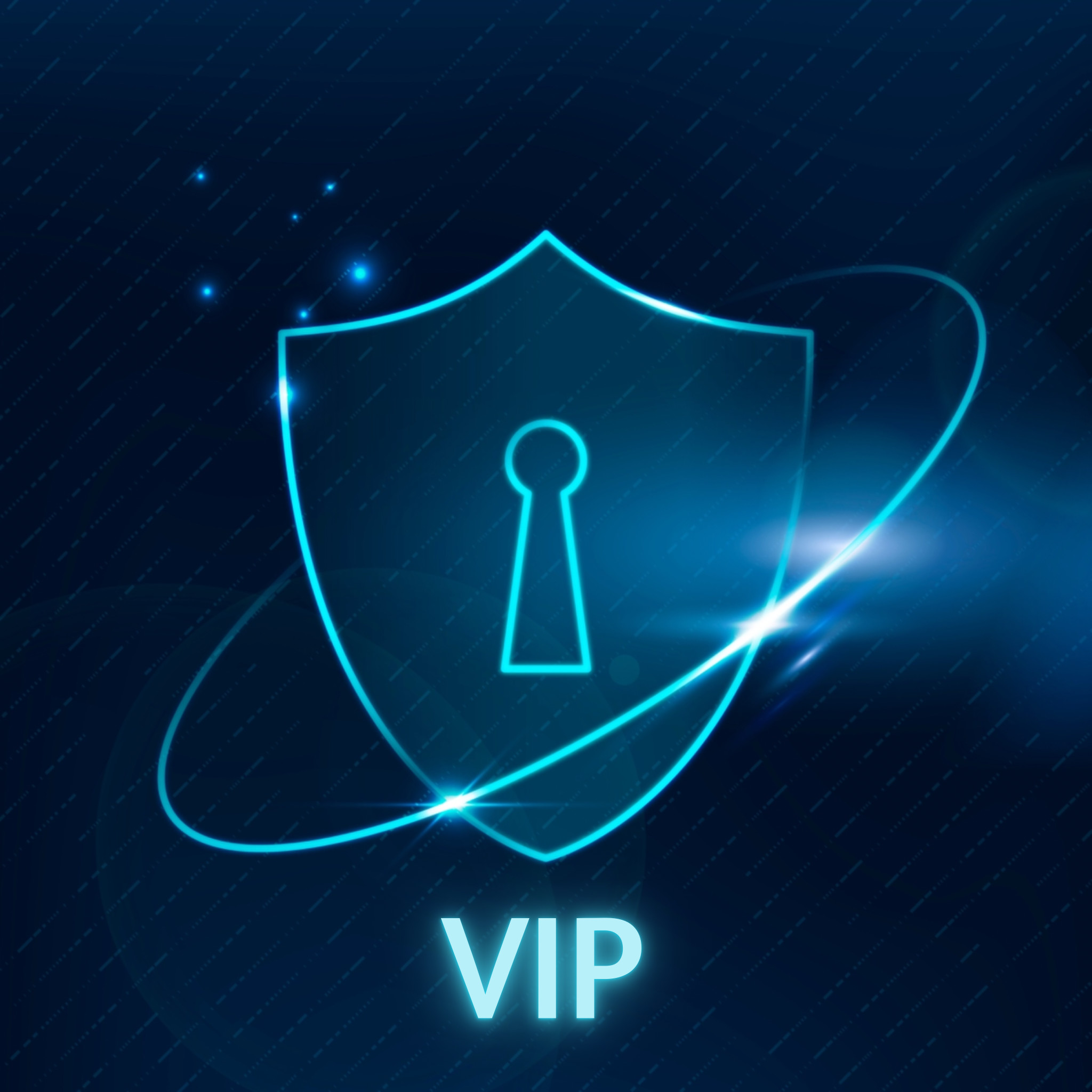 payment-risk-101 #vip