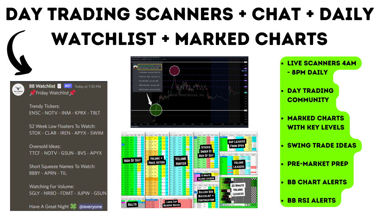 the-daily-trader #👋-welcome