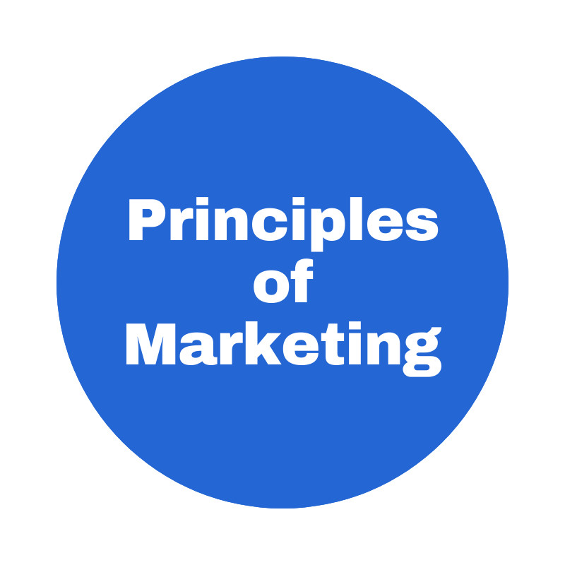 Principles of Marketing Ecom Strategies