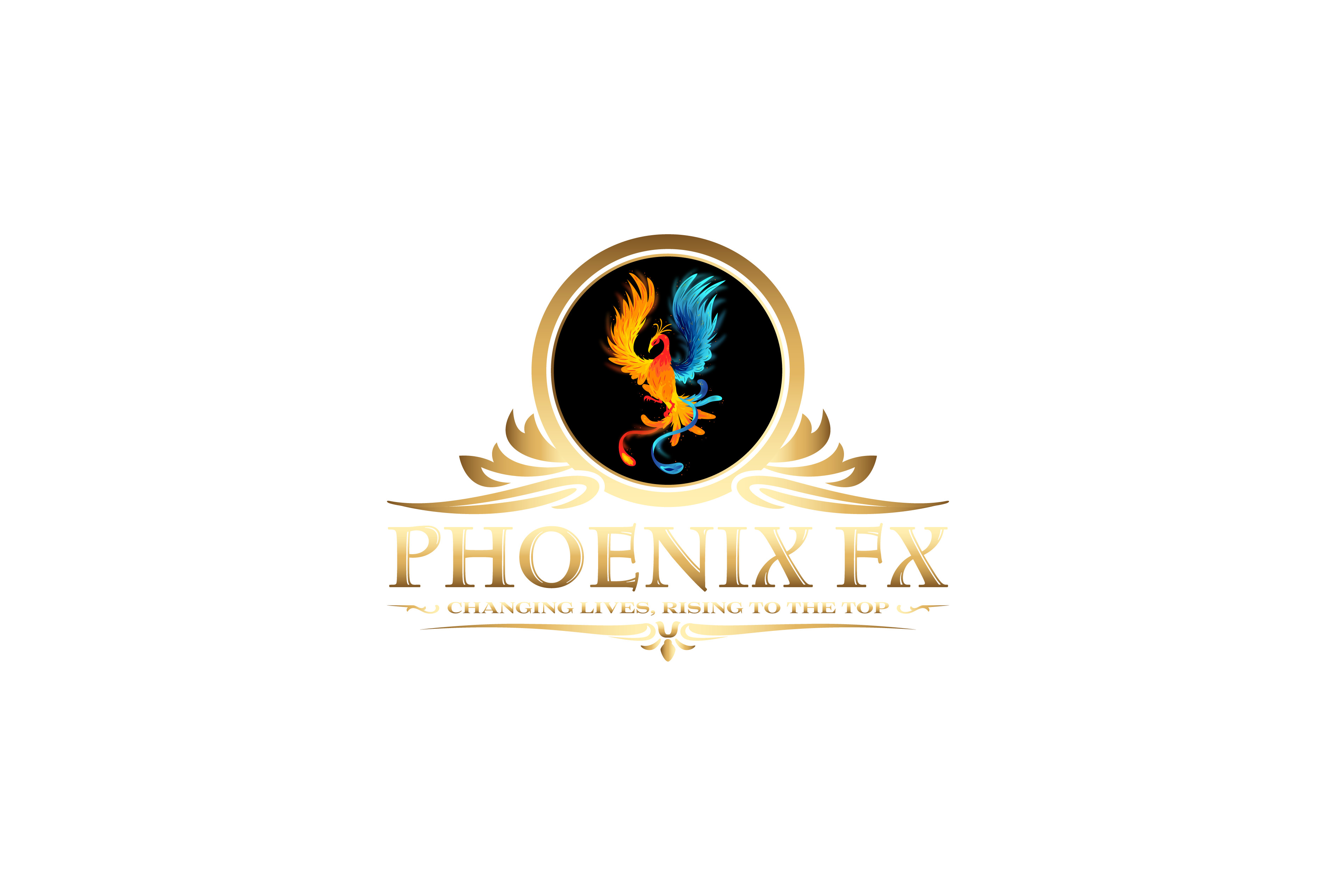 Phoenix Fx Academy LLC Private Community private chat room v2