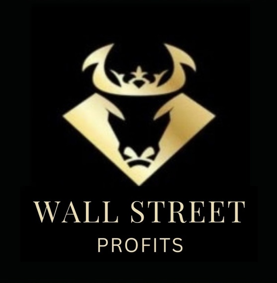wallstprofits 1 on 1 Zoom With Wall St Profits CEO v2