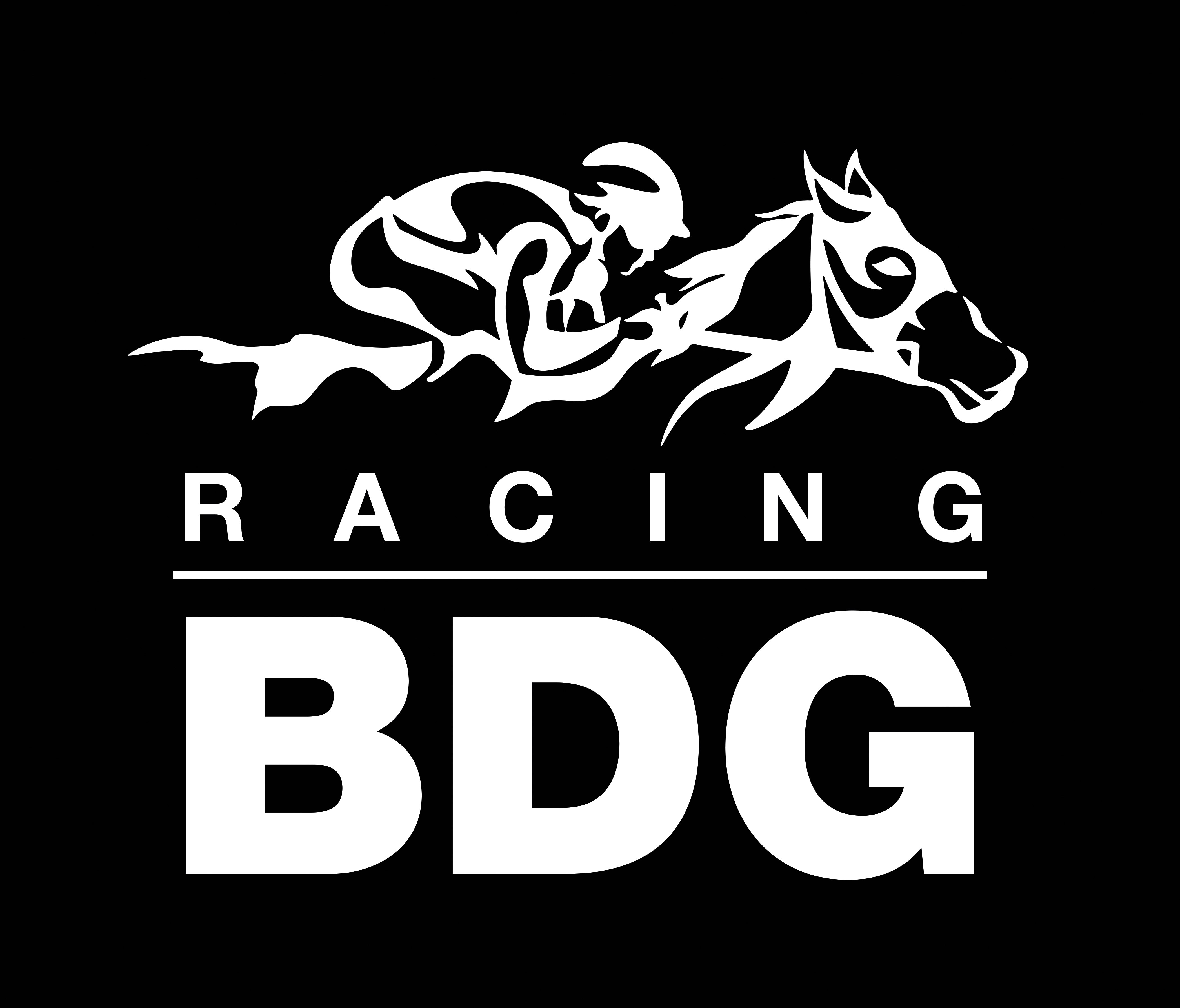 Racing BDG premium group RACING BDG EARLY ACCESS TIPS v2