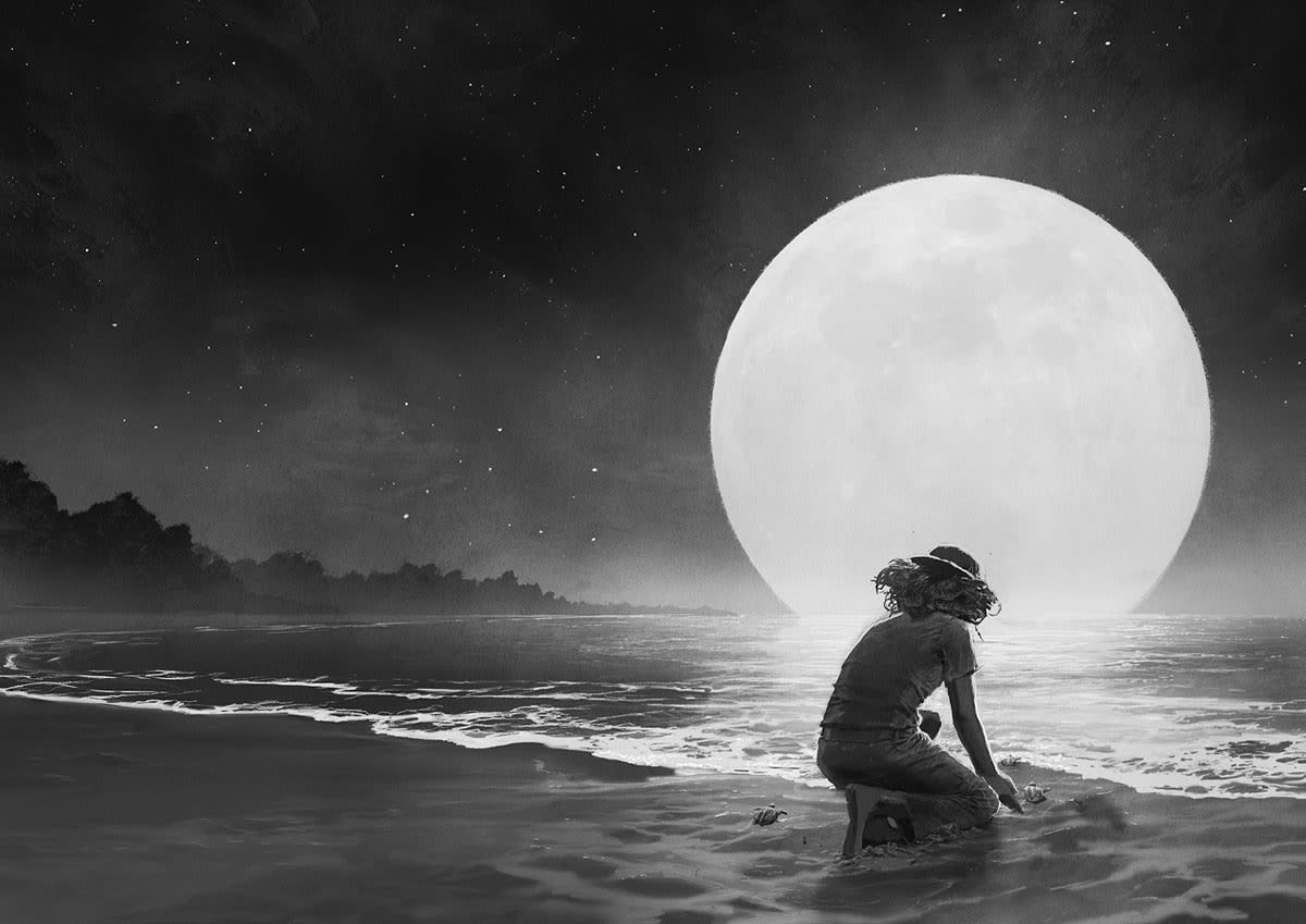 Turtle Moon by Hannah Gold - Arena Illustration