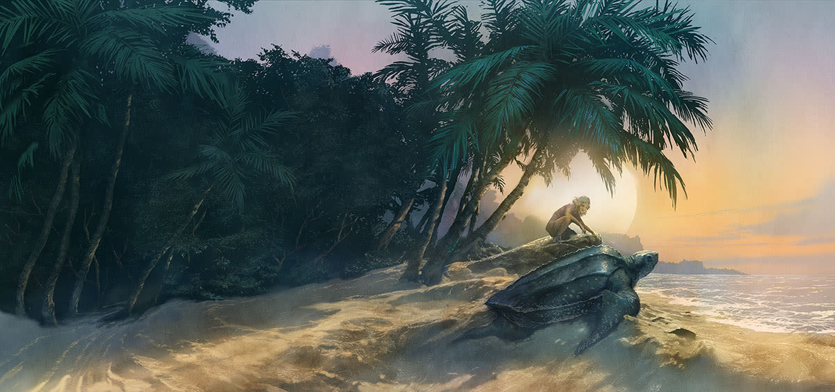 Turtle Moon by Hannah Gold - Arena Illustration