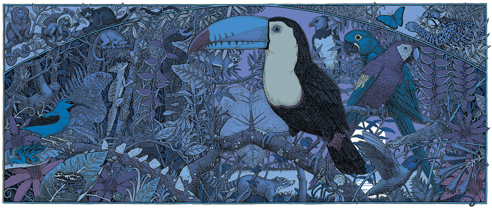 Second Nature - Arena Illustration